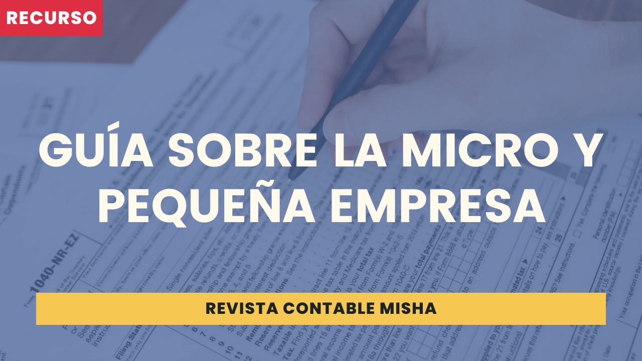 Guía sobre la Micro y Pequeña Empresa - Noticiero Contable