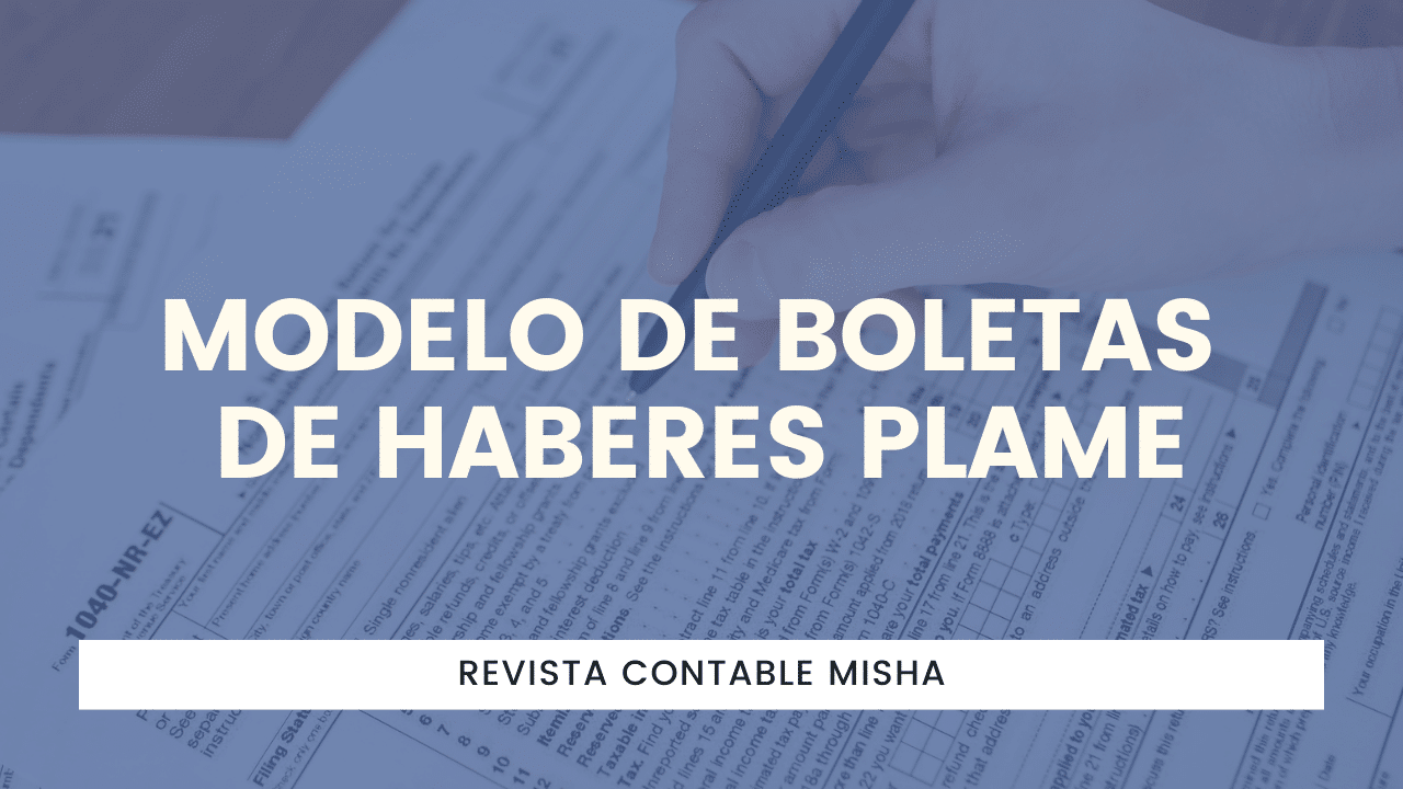 Modelo de Boletas de Haberes PLAME - Noticiero Contable