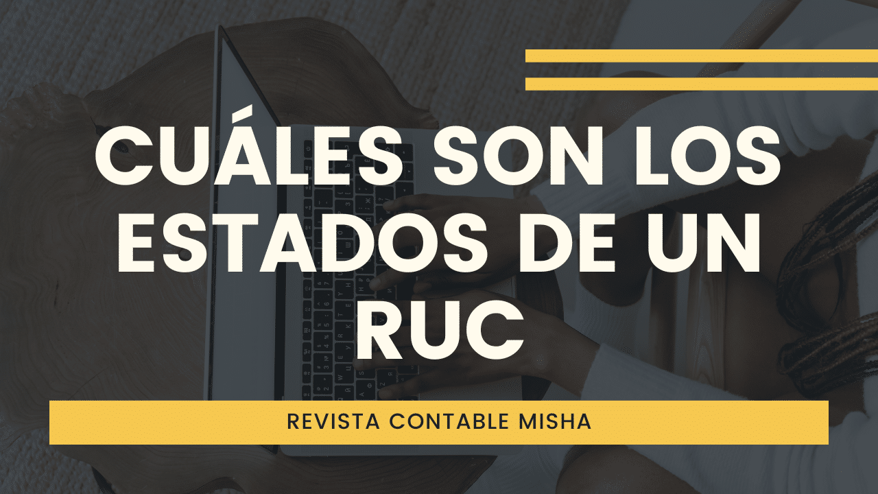 Cuáles son los estados de un RUC - Noticiero Contable