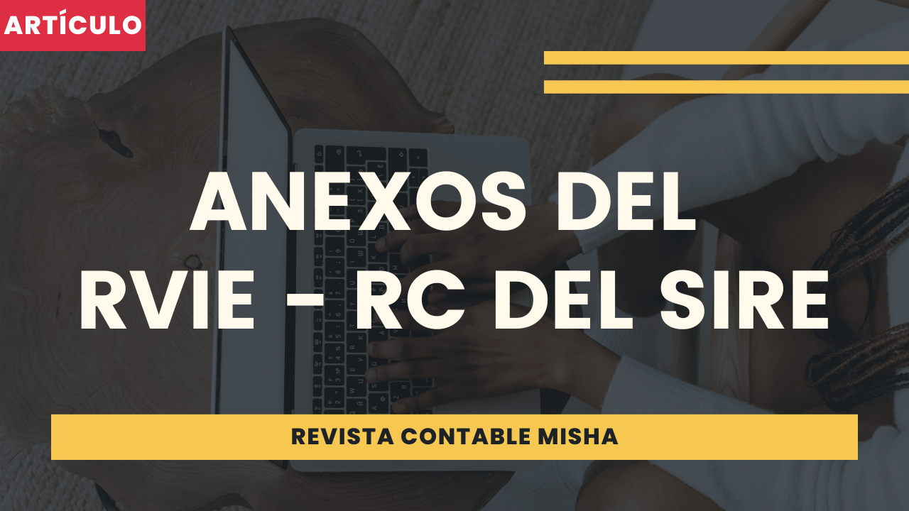 Anexos del RVIE - RC del SIRE - Noticiero Contable